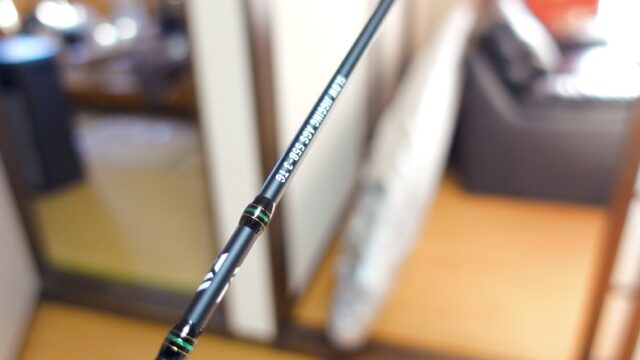 とんでもない粘り。ダイワのソルティガ AGS 55B-3 TGと専用リールの組み合わせが最強